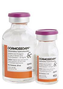 Dormosedan - Equine - Sterile Detomidine Hydrochloride By ...