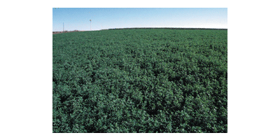 Nutrient Management Service | Ag Spectrum Company