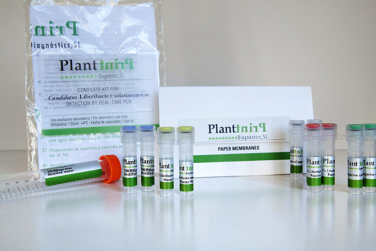 CaLsol/100 Complete Real-Time PCR Kit