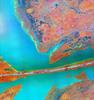 Multiprobes for Harmful Algal Bloom - Water and Wastewater - Oil Spills ...