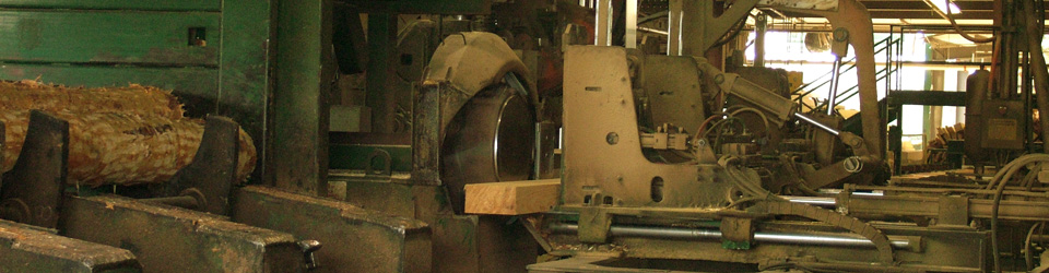 USNR - Lumber Manufacturing - Carriage Systems - Log Boss ...