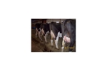 CoPulsation Conventional Milking Systems
