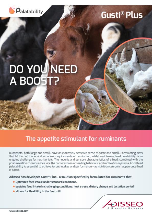 Gusti - Model Plus - Appetite Stimulant Feed - Brochure