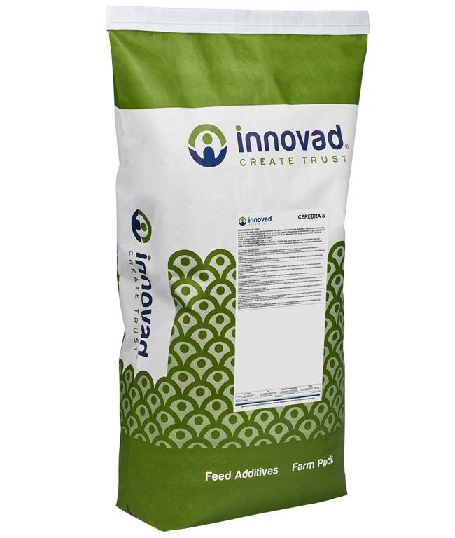 Innovad Cerebra S Streptococcus Suis