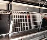 Quad Deck Pullet Cage System