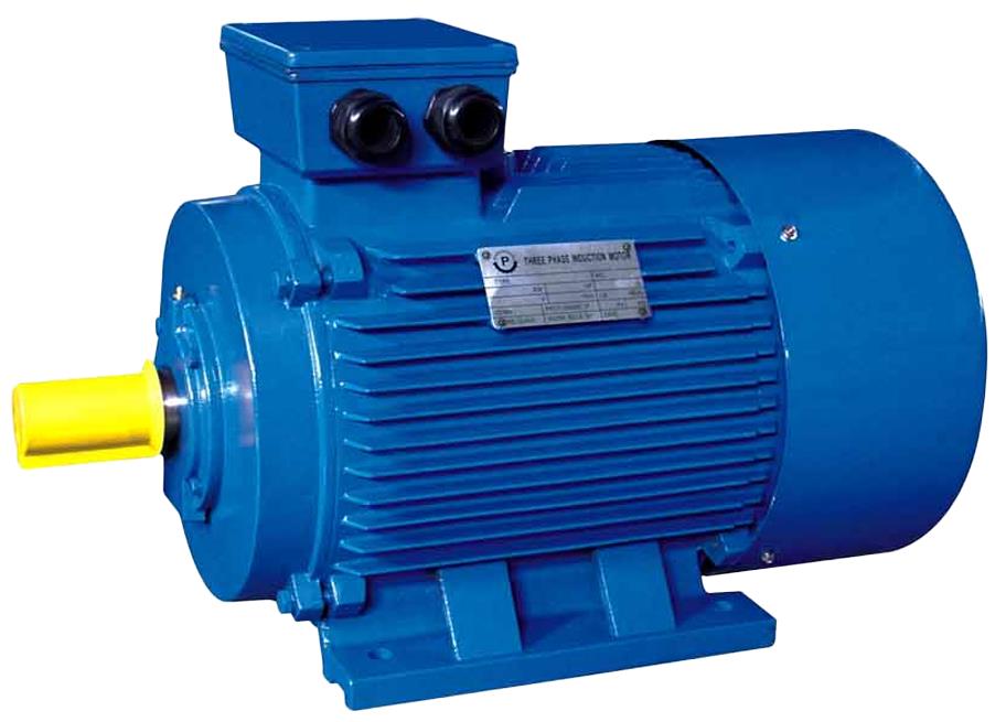 Paragon PEM Series High Efficiency / Low Noise Electric Motor