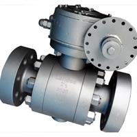 Landee Valve LV 16 FBV 48 Floating Ball Valve