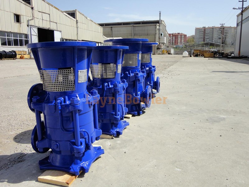 Layne HPMV-SKMV-H Vertical-Multistage Centrifugal Pump