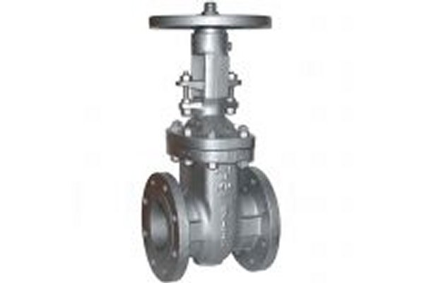 Johnson Valves JV060021 Carbon Steel ANSI 600 Gate Valve