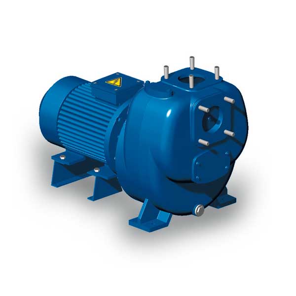 Viesse RB220 Self Priming Centrifugal Electric Pumps