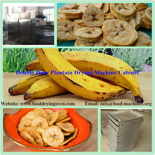 AZEUS Double Door Plantain Drying Machine