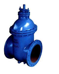 Cast Iron Armature 251 Series Gate Valve
