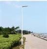 Renery Renergy Integrated LED Street Light