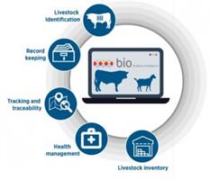 AgSIghts Go360 bioTrack Livestock Information Collect and Share Software